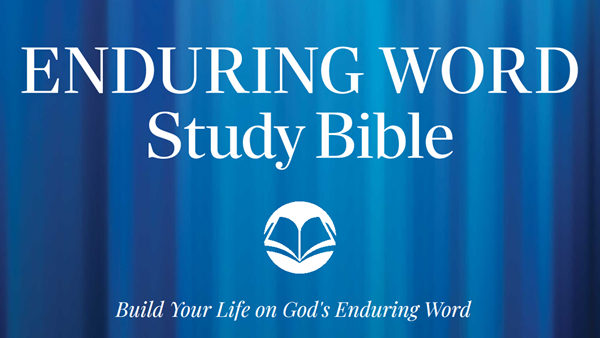 Enduring Word Study Bible {Review & Giveaway} - Homeschooling Teen